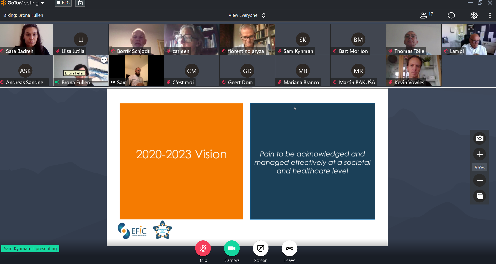 European Pain Forum Virtual Meeting 2020 - European Pain Federation
