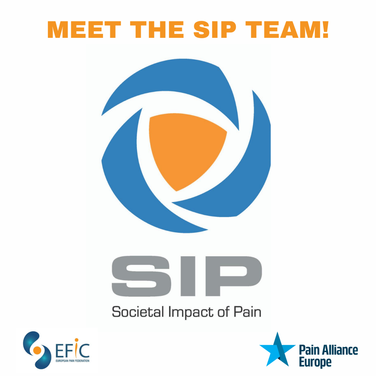 Meet the Societal Impact of Pain (SIP) Team - European Pain Federation