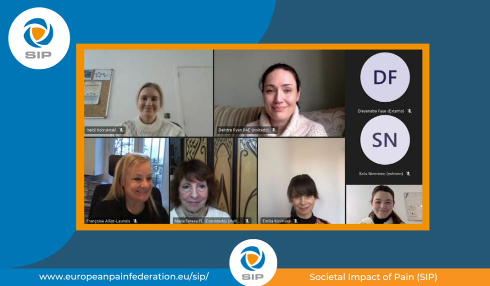 The meeting report from first SIP National Platform call of 2023 is now ...