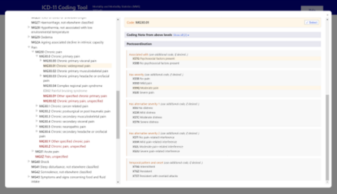 What is Chronic Primary Pain? - European Pain Federation