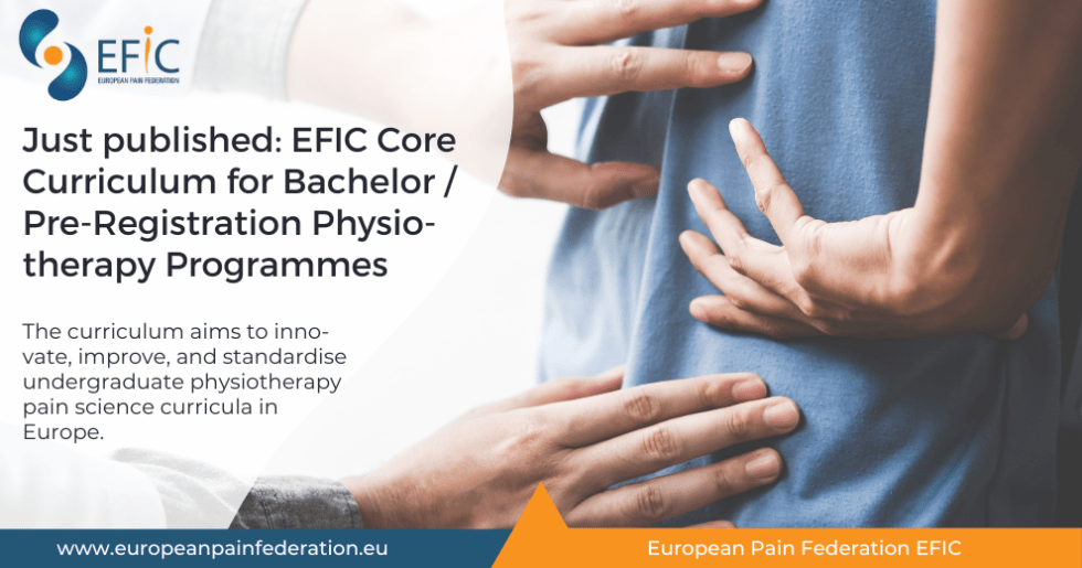 Just published: EFIC Core Curriculum for Bachelor / Pre-Registration Physiotherapy Programmes ...