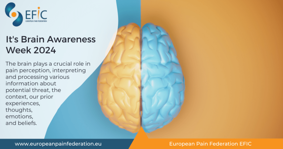 Brain Awareness Week 2024 - European Pain Federation